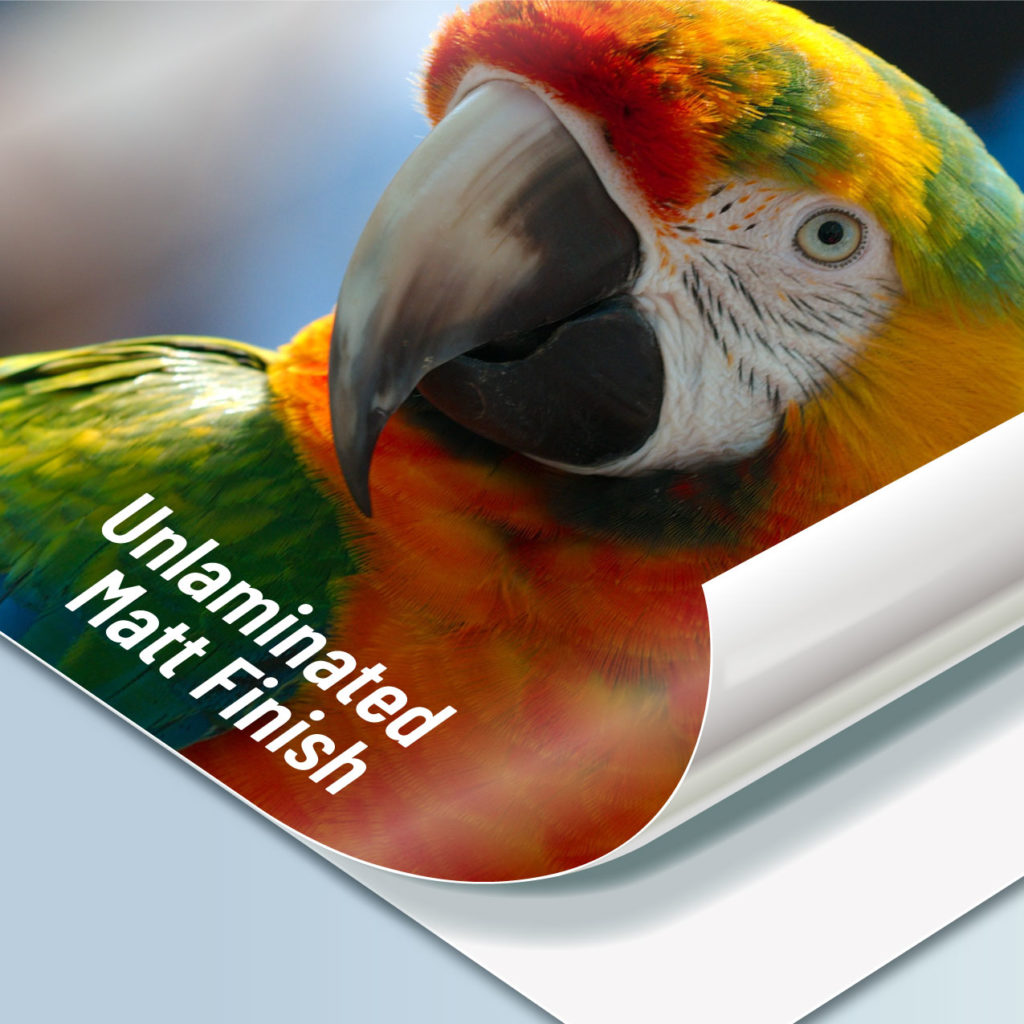 Self Adhesive Printed Vinyl | Print 2 Media Ltd.