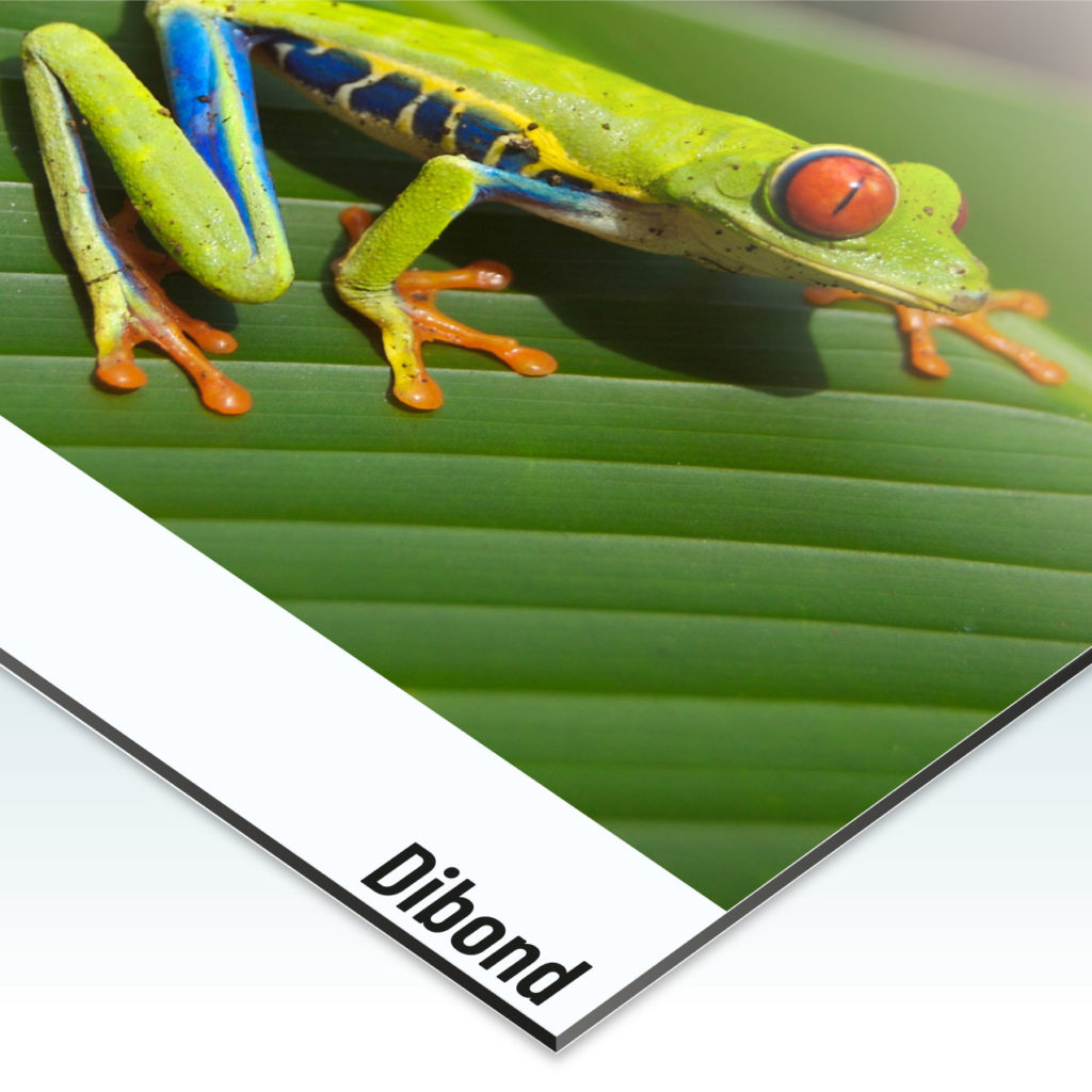 Aluminium Dibond Signs - Print 2 Media Ltd.